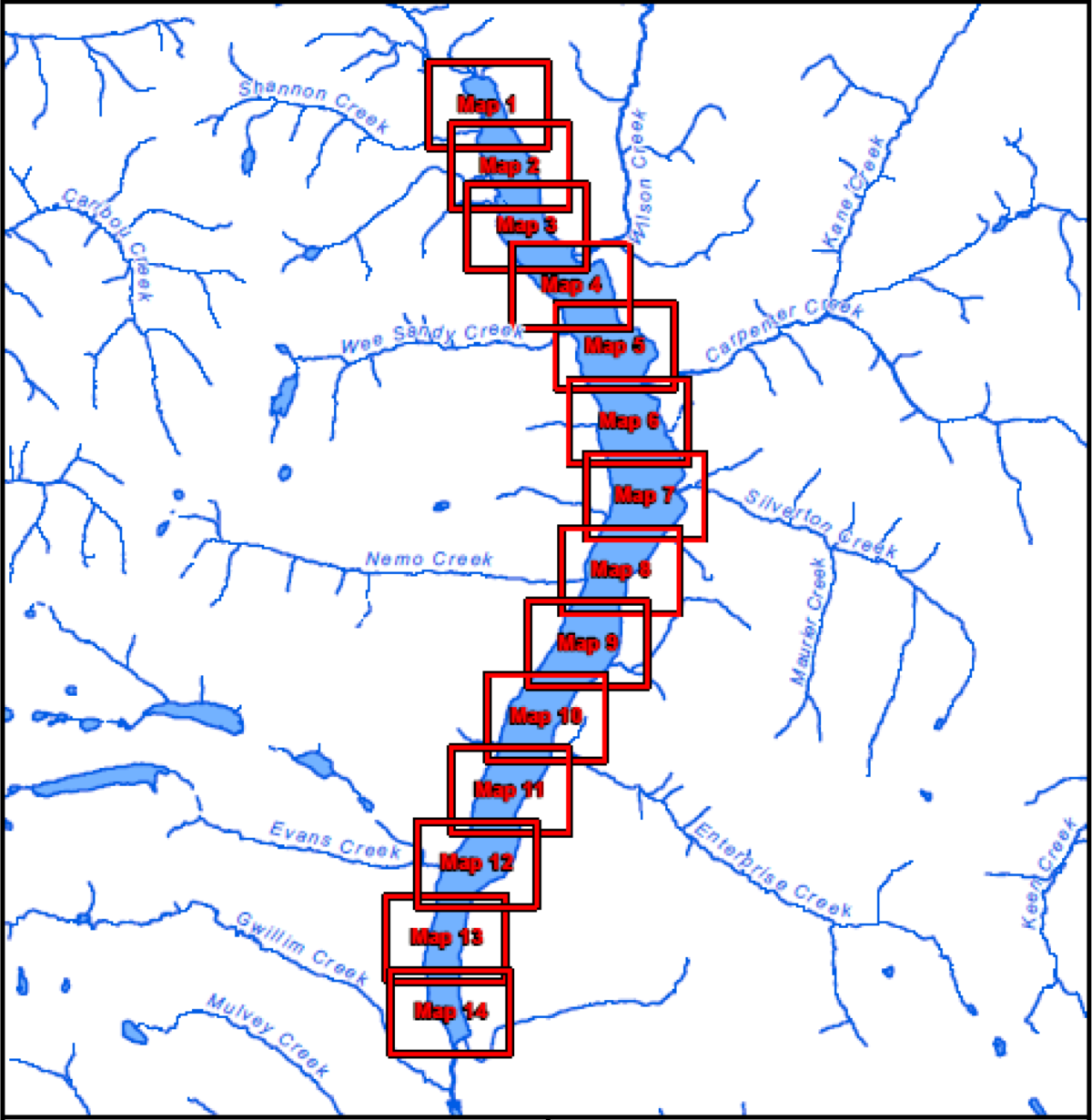 Foreshore /Riparian – Slocan Lake Stewardship Society